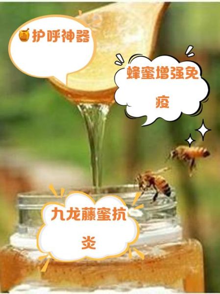 蜂蜜能治什么病_蜂蜜的药用价值有哪些-第1张图片-山城妙识