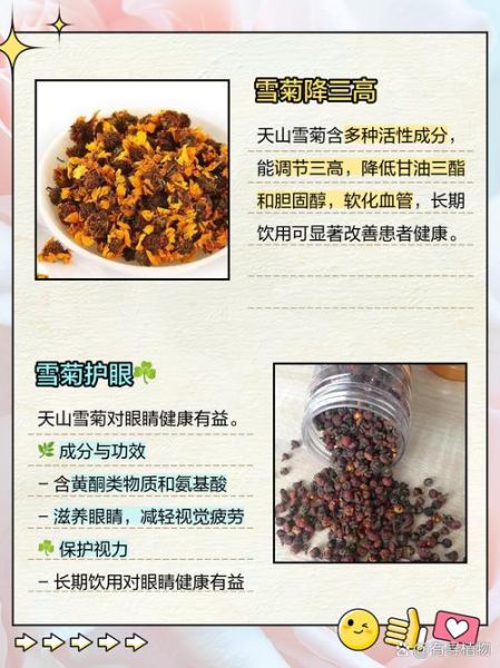 天山雪菊的功效与禁忌_什么人不能喝-第1张图片-山城妙识 天山雪菊的功效与禁忌_什么人不能喝-第1张图片-山城妙识
