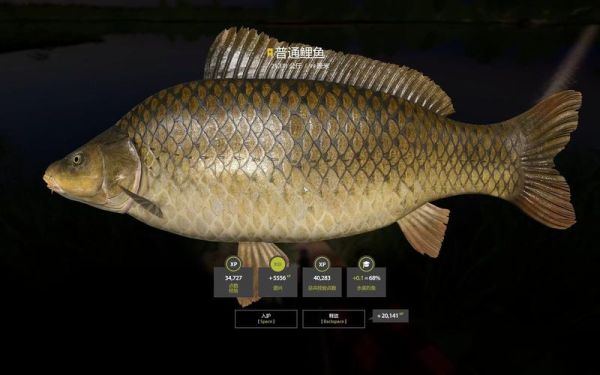 鲤鱼乡手机版怎么下载_鲤鱼乡手机版打不开怎么办-第1张图片-山城妙识 鲤鱼乡手机版怎么下载_鲤鱼乡手机版打不开怎么办-第1张图片-山城妙识