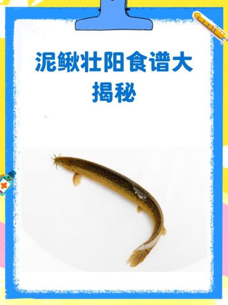 泥鳅怎么吃壮阳_泥鳅壮阳的正确吃法-第3张图片-山城妙识 泥鳅怎么吃壮阳_泥鳅壮阳的正确吃法-第3张图片-山城妙识