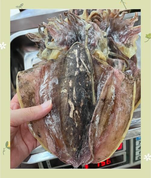 墨鱼干怎么泡发_墨鱼干炖排骨的做法-第3张图片-山城妙识