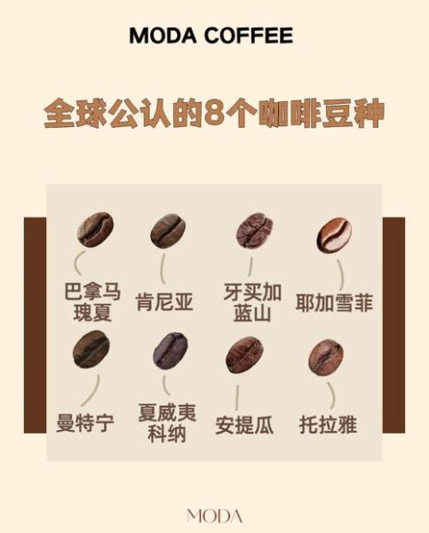 世界十大顶级咖啡豆有哪些_如何挑选适合自己的风味-第2张图片-山城妙识