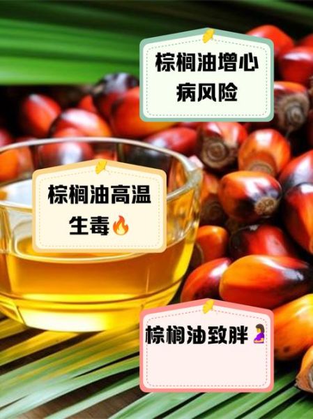 棕榈油对身体有害吗_棕榈油危害有哪些-第2张图片-山城妙识