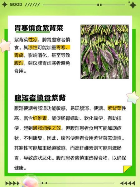 紫背菜不能和什么一起吃_紫背菜相克食物有哪些-第1张图片-山城妙识