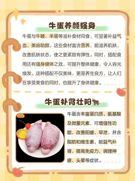 牛蛋是什么_牛蛋的功效与作用-第1张图片-山城妙识 牛蛋是什么_牛蛋的功效与作用-第1张图片-山城妙识