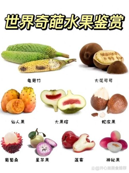 稀有水果名称大全_哪些水果最罕见-第2张图片-山城妙识 稀有水果名称大全_哪些水果最罕见-第2张图片-山城妙识