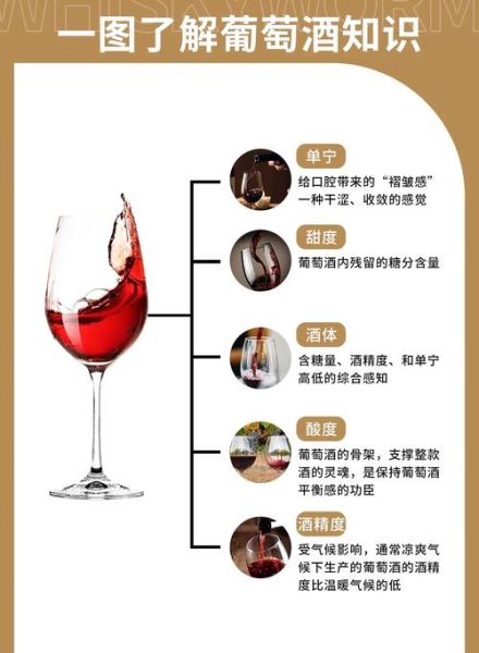 葡萄酒的功效与作用每天喝多少_每天应该喝多少葡萄酒才健康-第3张图片-山城妙识