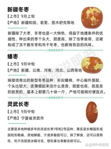 全国四大名枣有哪些_如何挑选正宗产地-第1张图片-山城妙识