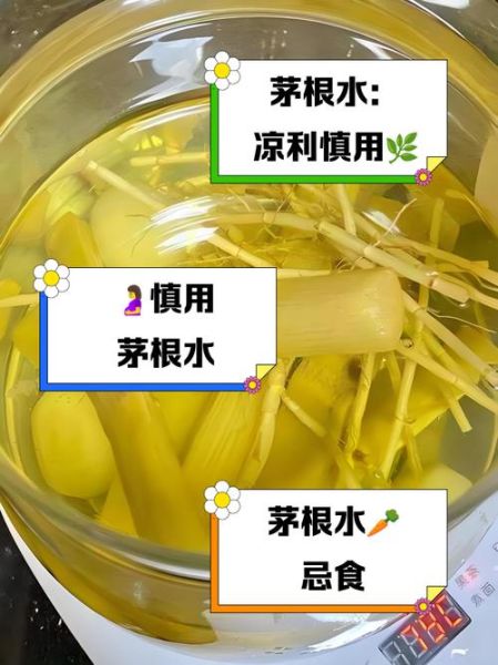 长期吃白茅根的副作用_白茅根泡水喝的禁忌-第2张图片-山城妙识