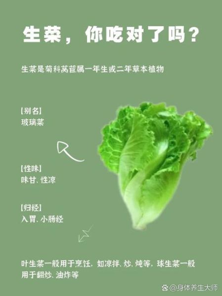 圆生菜可以减肥吗_圆生菜怎么吃最营养-第3张图片-山城妙识