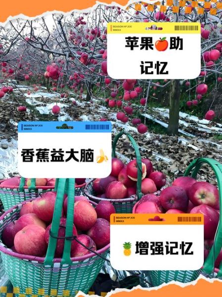 增强记忆力的水果有哪些_哪些水果提高记忆力最快-第1张图片-山城妙识