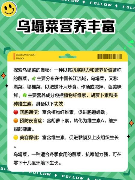 乌塌菜的营养价值_乌塌菜怎么吃最营养-第2张图片-山城妙识