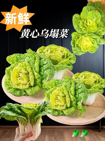 乌塌菜的营养价值_乌塌菜怎么吃最营养-第3张图片-山城妙识