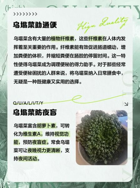 乌塌菜的营养价值_乌塌菜怎么吃最营养-第1张图片-山城妙识