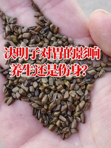 决明子泡水对肝的危害_长期喝会伤肝吗-第2张图片-山城妙识
