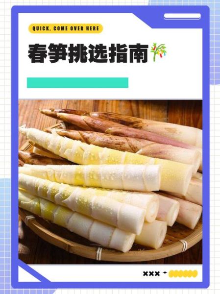 菜市场笋的种类有哪些_新鲜春笋怎么挑-第2张图片-山城妙识 菜市场笋的种类有哪些_新鲜春笋怎么挑-第2张图片-山城妙识
