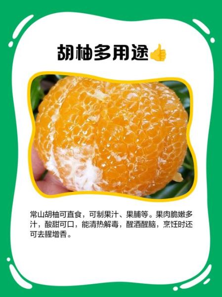 胡柚的功效与作用_胡柚的禁忌有哪些-第3张图片-山城妙识