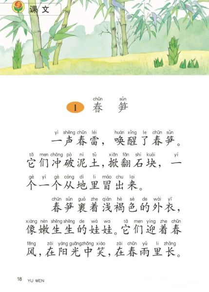 笋怎么读_笋的拼音声调是什么-第1张图片-山城妙识