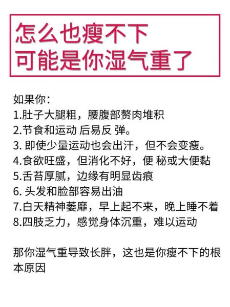 人胖湿气重肚子大怎么减肥_湿气重肚子大怎么调理-第1张图片-山城妙识 人胖湿气重肚子大怎么减肥_湿气重肚子大怎么调理-第1张图片-山城妙识