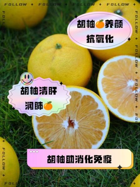 胡柚的功效与作用_胡柚的禁忌有哪些-第1张图片-山城妙识