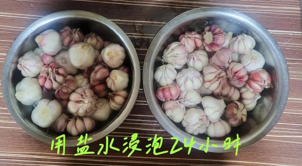 东北腌咸蒜怎么腌制_东北咸蒜腌制方法-第2张图片-山城妙识 东北腌咸蒜怎么腌制_东北咸蒜腌制方法-第2张图片-山城妙识