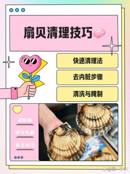 扇贝怎么清洗_扇贝清洗视频教程-第1张图片-山城妙识