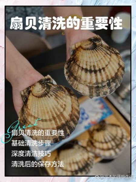 扇贝怎么清洗_扇贝清洗视频教程-第2张图片-山城妙识