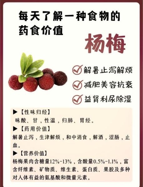 杨梅汤怎么煮好喝窍门_杨梅汤要不要去核-第3张图片-山城妙识