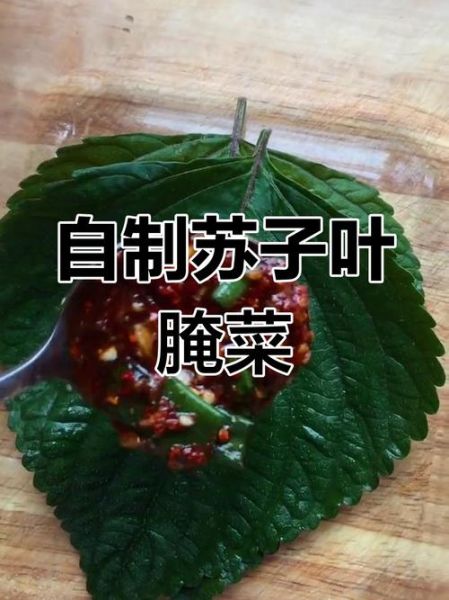 苏子叶怎么腌制好吃_苏子叶的家常做法大全-第1张图片-山城妙识