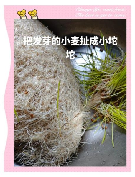 麦芽糖怎么吃_麦芽糖可以直接吃吗-第1张图片-山城妙识