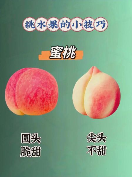 好吃的水果有哪些_如何挑选新鲜水果-第1张图片-山城妙识