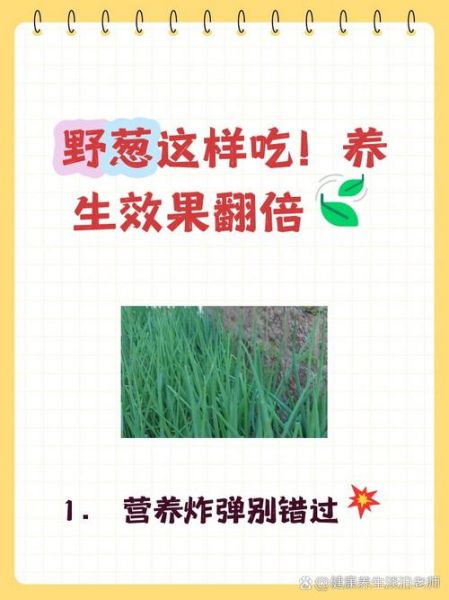 野葱的功效与作用_野葱怎么吃最健康-第2张图片-山城妙识