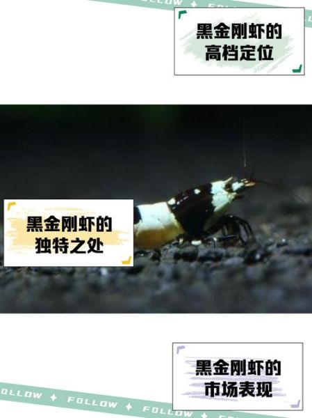 虾头变黑是重金属超标吗_蚂蚁庄园答案-第2张图片-山城妙识