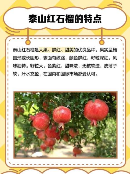 红石榴的功效与作用_红石榴的禁忌人群有哪些-第2张图片-山城妙识
