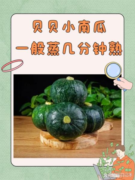 贝贝小南瓜蒸多久_蒸贝贝南瓜要多长时间-第1张图片-山城妙识