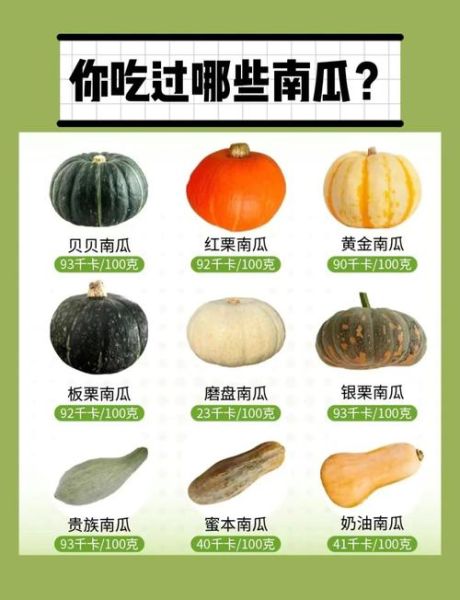 贝贝小南瓜蒸多久_蒸贝贝南瓜要多长时间-第3张图片-山城妙识