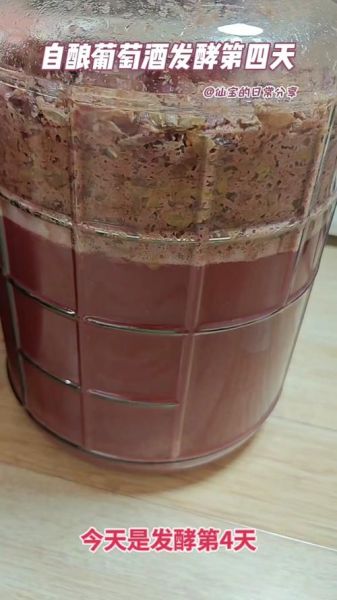 自酿葡萄酒发酵多少天_发酵温度多少合适-第3张图片-山城妙识