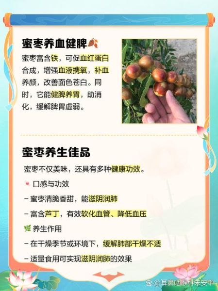 蜜枣一天吃几个_蜜枣吃多了会上火吗-第3张图片-山城妙识 蜜枣一天吃几个_蜜枣吃多了会上火吗-第3张图片-山城妙识