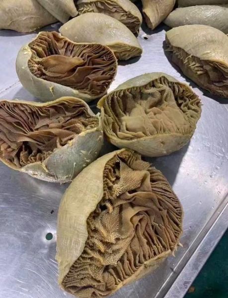 牛百叶和毛肚哪个贵_哪个好吃-第3张图片-山城妙识