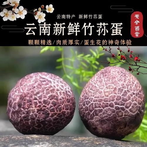 红托竹荪的功效与作用_红托竹荪怎么吃最好-第2张图片-山城妙识