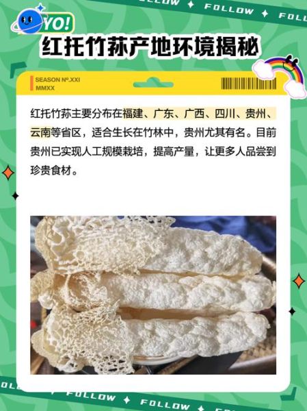 红托竹荪的功效与作用_红托竹荪怎么吃最好-第1张图片-山城妙识