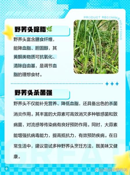 荞头是什么_荞头的功效与作用-第1张图片-山城妙识 荞头是什么_荞头的功效与作用-第1张图片-山城妙识