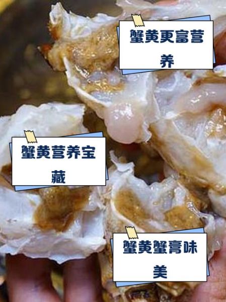 蟹黄和蟹膏哪个好吃_口感区别与吃法推荐-第1张图片-山城妙识 蟹黄和蟹膏哪个好吃_口感区别与吃法推荐-第1张图片-山城妙识