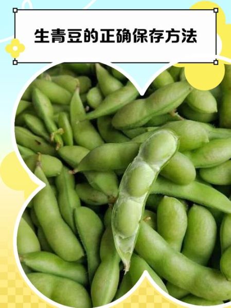青豆怎么保存_青豆可以放冰箱冷冻吗-第2张图片-山城妙识