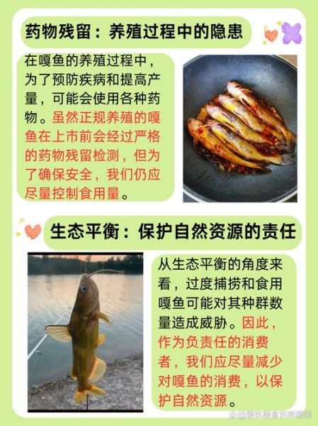 嘎鱼多少钱一斤_嘎鱼价格最新行情-第3张图片-山城妙识 嘎鱼多少钱一斤_嘎鱼价格最新行情-第3张图片-山城妙识