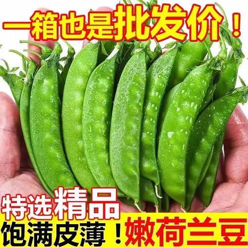 云南特色蔬菜有哪些_云南蔬菜怎么做好吃-第2张图片-山城妙识 云南特色蔬菜有哪些_云南蔬菜怎么做好吃-第2张图片-山城妙识