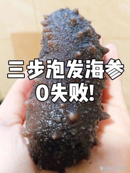 干海参怎么泡发_干海参怎么做好吃-第2张图片-山城妙识