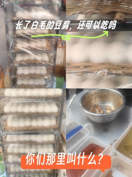 自制毛豆腐的做法窍门_毛豆腐长白毛怎么处理-第3张图片-山城妙识