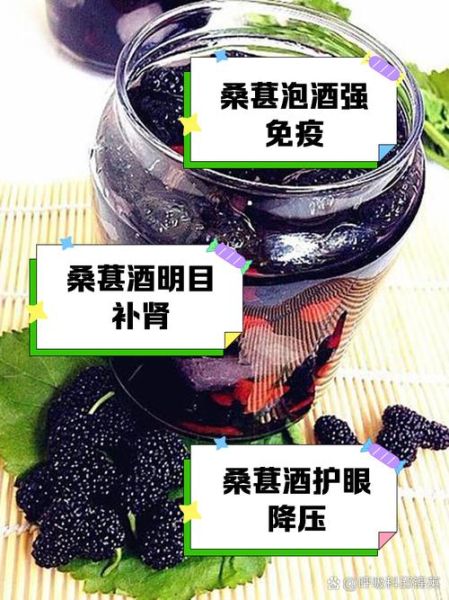 桑葚泡酒比例是多少_桑葚酒怎么泡才正宗-第3张图片-山城妙识