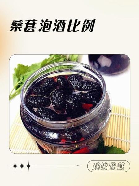 桑葚泡酒比例是多少_桑葚酒怎么泡才正宗-第1张图片-山城妙识